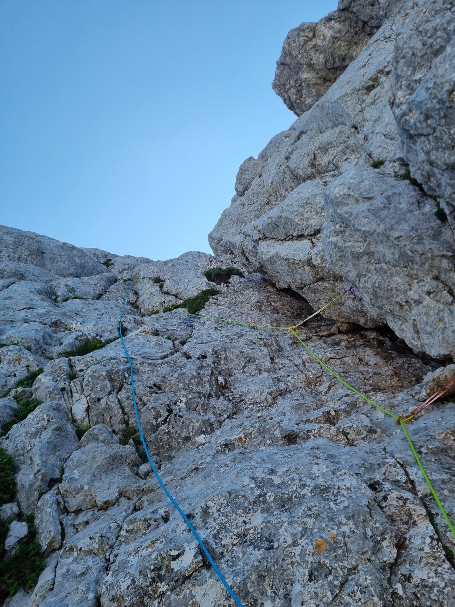 Jazbec v Mangrtu – AO Kranj